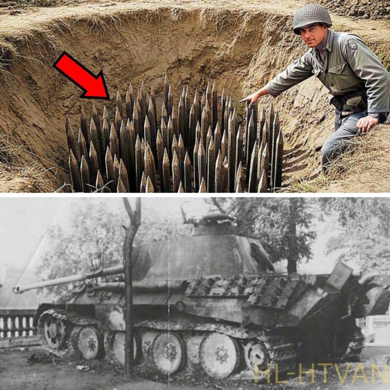 Lo deridevano per la sua “stupida” fossa con spuntoni — finché non ...